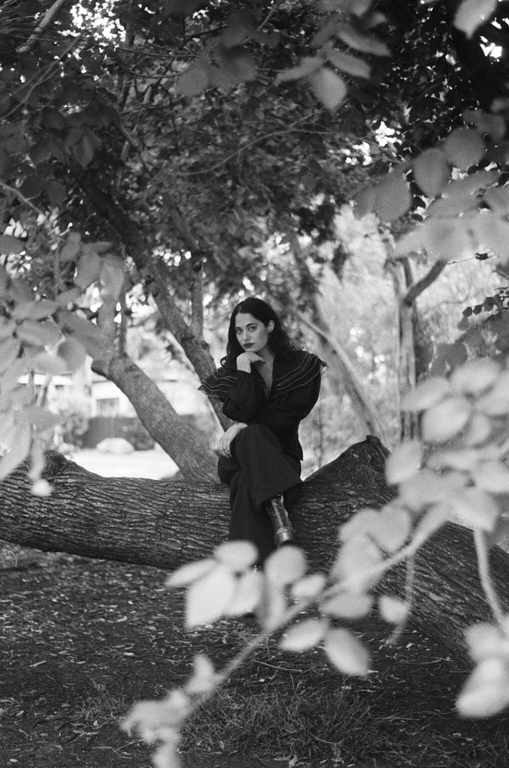 Maple Glider shares new single and video; 'Baby Tiger' | THE LABEL
